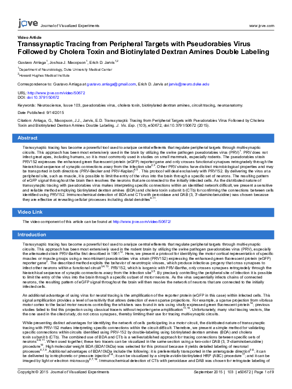 (PDF) Transsynaptic Tracing from Peripheral Targets with Pseudorabies ...