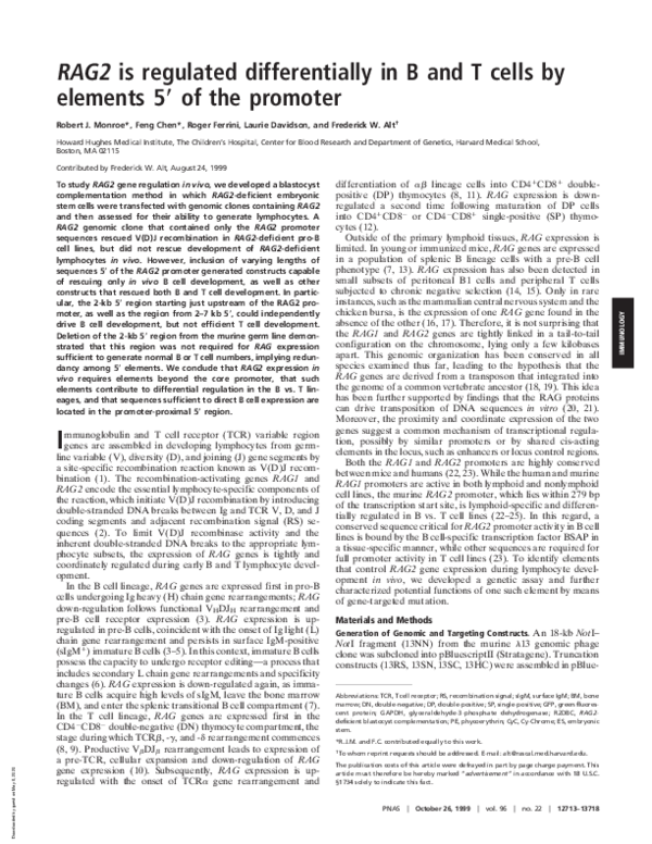 (PDF) RAG2 is regulated differentially in B and T cells by elements 5 ...