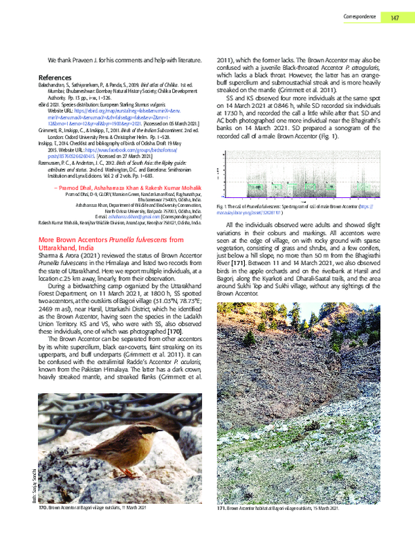 (PDF) More Brown Accentors Prunella fulvescens from Uttarakhand, India