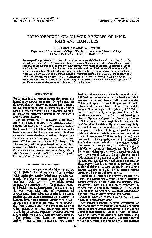 (PDF) Polymorphous geniohyoid muscles of mice, rats and hamsters