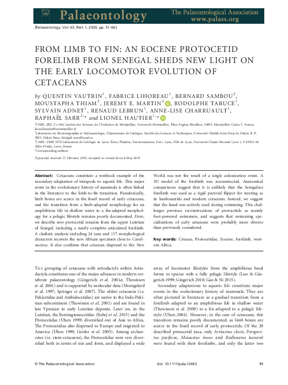 (PDF) From limb to fin: an Eocene protocetid forelimb from Senegal ...