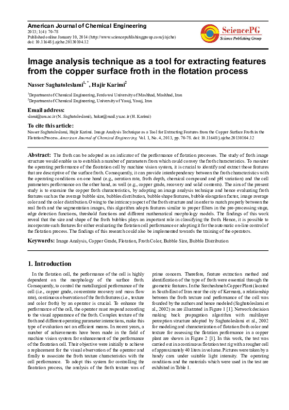 (PDF) Image Analysis Technique as a Tool for Extracting Features from the Copper Surface Froth ...