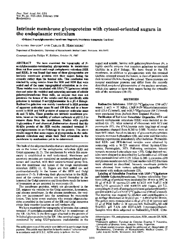 (PDF) Intrinsic membrane glycoproteins with cytosol-oriented sugars in ...