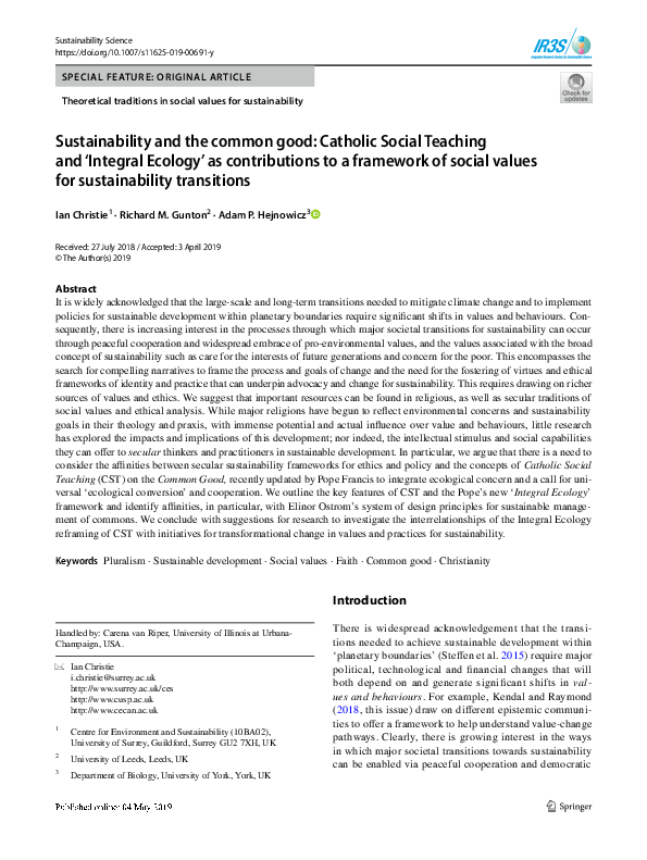 (PDF) Sustainability and the common good: Catholic Social Teaching and ...