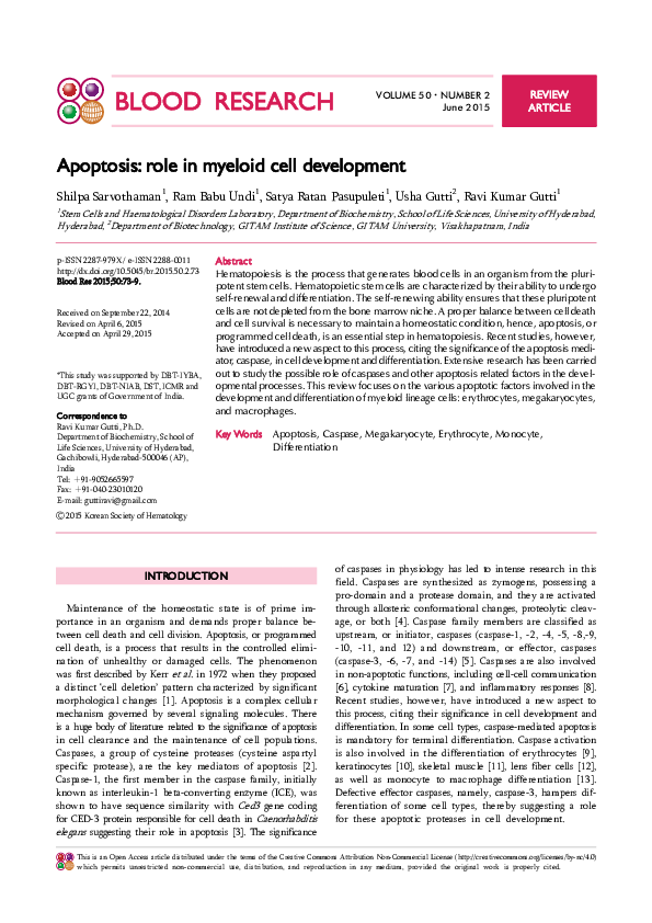 Pdf Apoptosis Role In Myeloid Cell Development