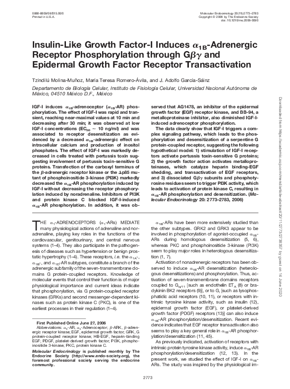 (PDF) Insulin-Like Growth Factor-I Induces α 1B -Adrenergic Receptor Phosphorylation through Gβγ ...