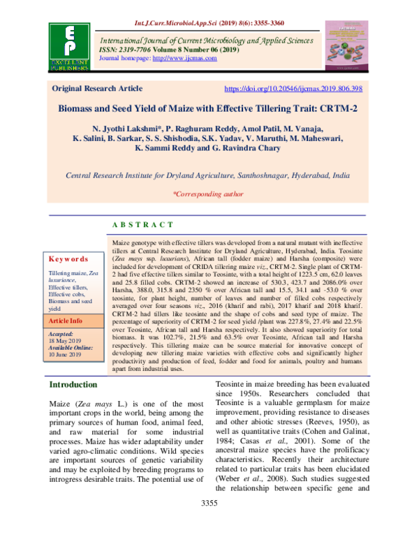 (PDF) Biomass and Seed Yield of Maize with Effective Tillering Trait ...