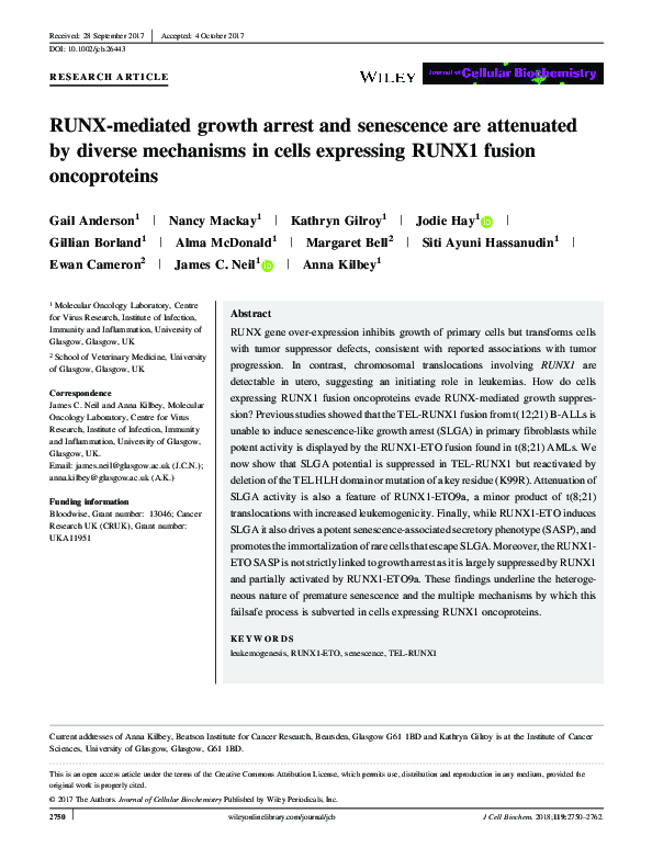 Pdf Runx Mediated Growth Arrest And Senescence Are Attenuated By