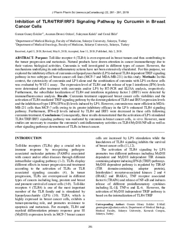 (PDF) Inhibition of TLR4/TRIF/IRF3 Signaling Pathway by Curcumin in ...
