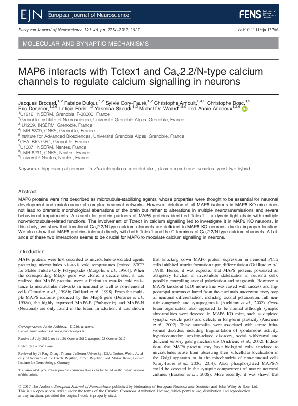 (PDF) MAP6 interacts with Tctex1 and Cav2.2/N-type calcium channels to regulate calcium ...