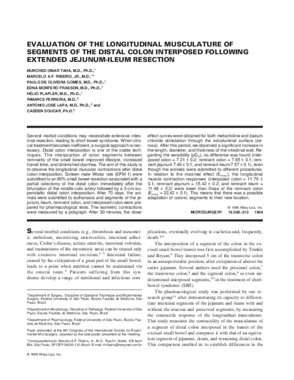 (PDF) Evaluation of the longitudinal musculature of segments of the ...