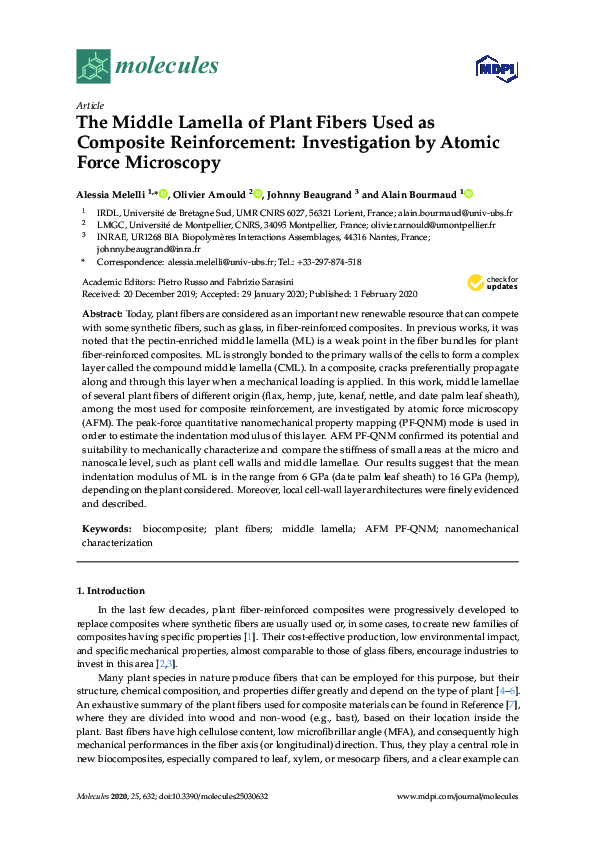 (PDF) The Middle Lamella of Plant Fibers Used as Composite ...