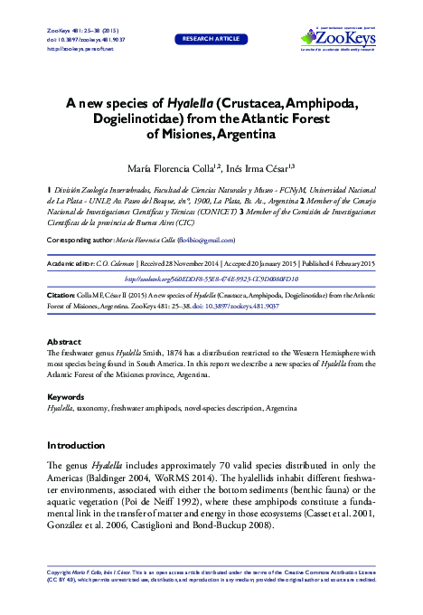 (PDF) A new species of Hyalella (Crustacea, Amphipoda, Dogielinotidae ...