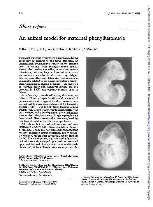 (PDF) An animal model for maternal phenylketonuria