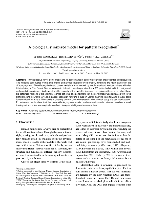Pdf A Biologically Inspired Model For Pattern Recognition