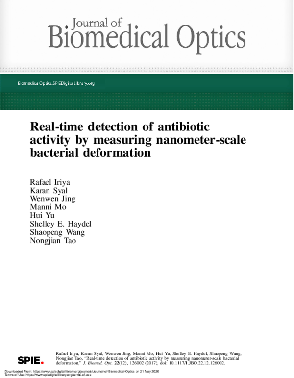 Pdf Real Time Detection Of Antibiotic Activity By Measuring Nanometer