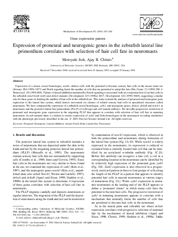 (PDF) Expression of proneural and neurogenic genes in the zebrafish ...