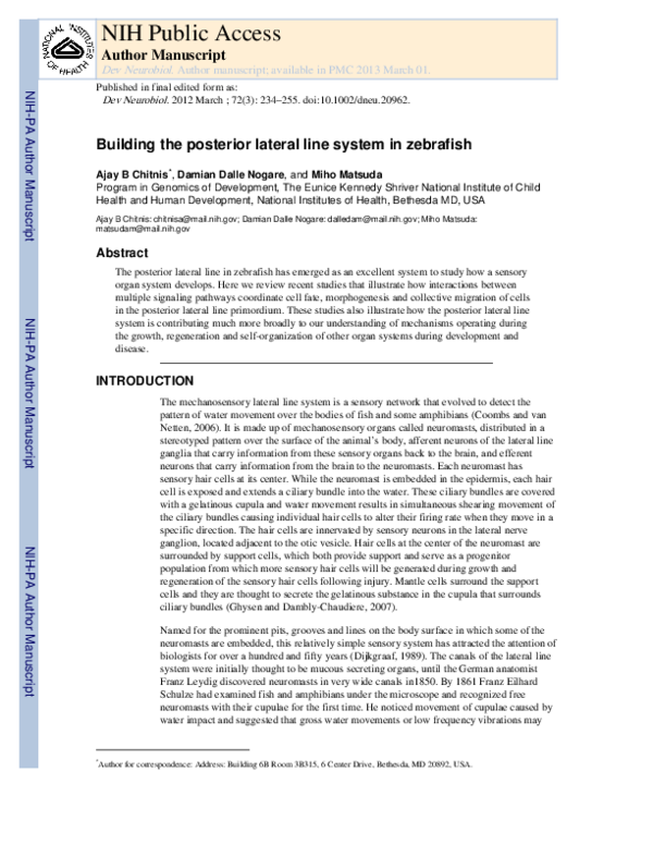 (PDF) Building the posterior lateral line system in zebrafish