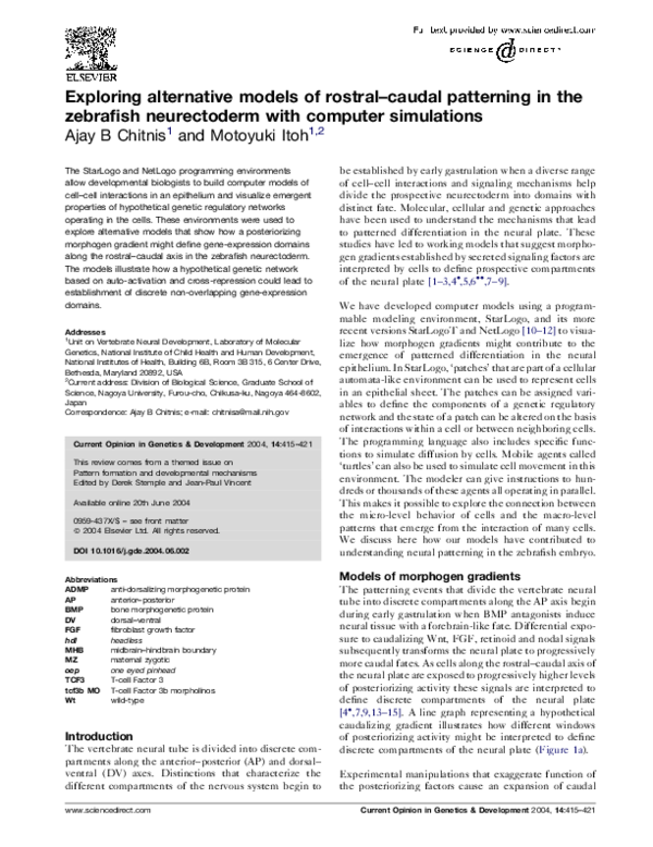 (PDF) Exploring alternative models of rostral–caudal patterning in the ...