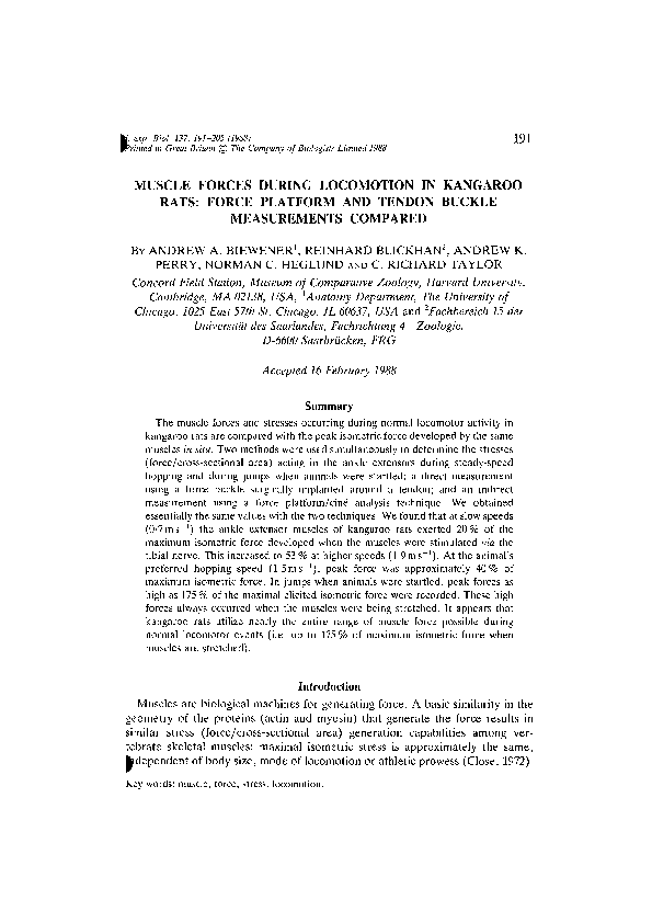 (PDF) Muscle forces during locomotion in kangaroo rats: force platform ...
