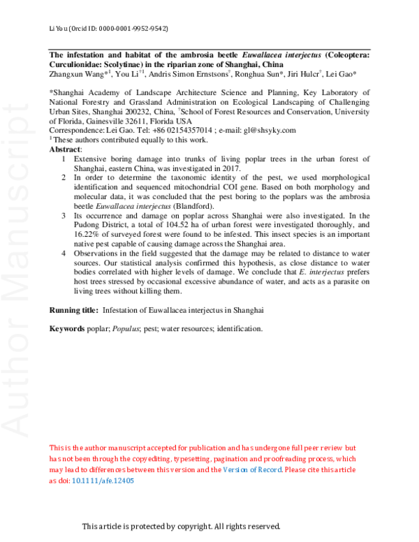 (PDF) The infestation and habitat of the ambrosia beetle Euwallacea ...