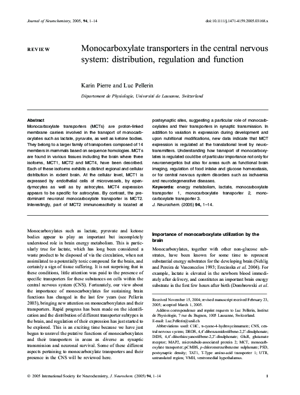 (PDF) Monocarboxylate transporters in the central nervous system ...