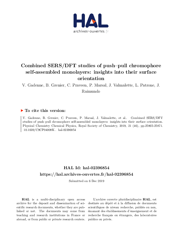 (PDF) Combo SERS/DFT studies of push-pull chromophores self-assembled monolayers: insights of ...