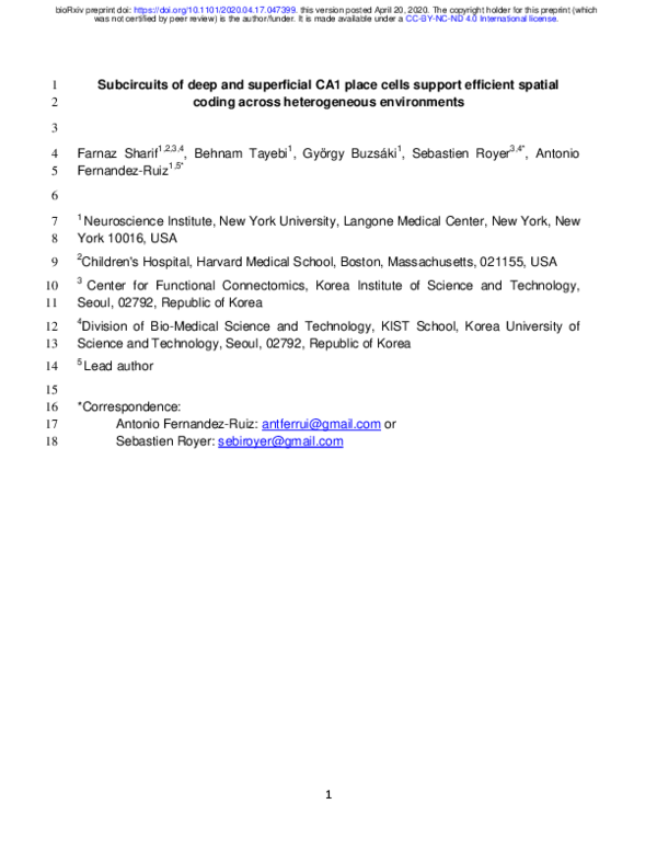 (PDF) Subcircuits of deep and superficial CA1 place cells support efficient spatial coding ...