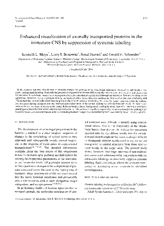 (PDF) Enhanced visualization of axonally transported proteins in the immature CNS by suppression ...