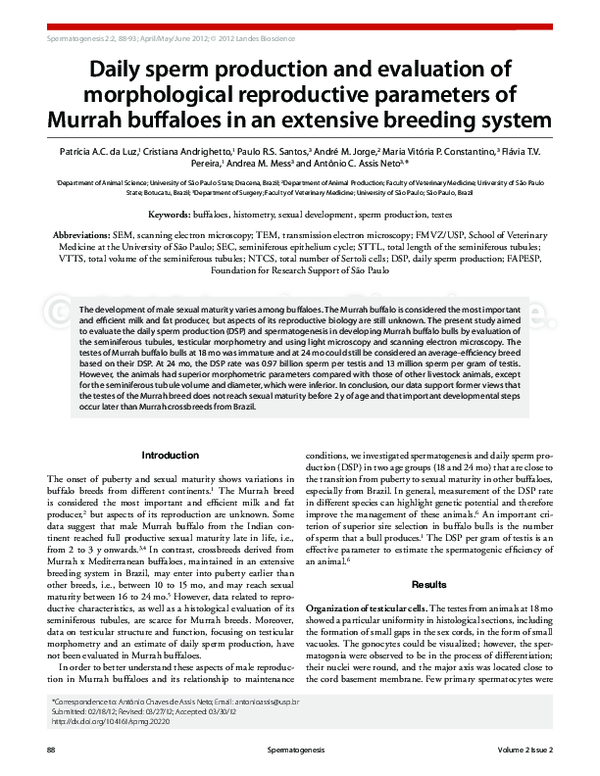 (PDF) Daily sperm production and evaluation of morphological reproductive parameters of Murrah ...