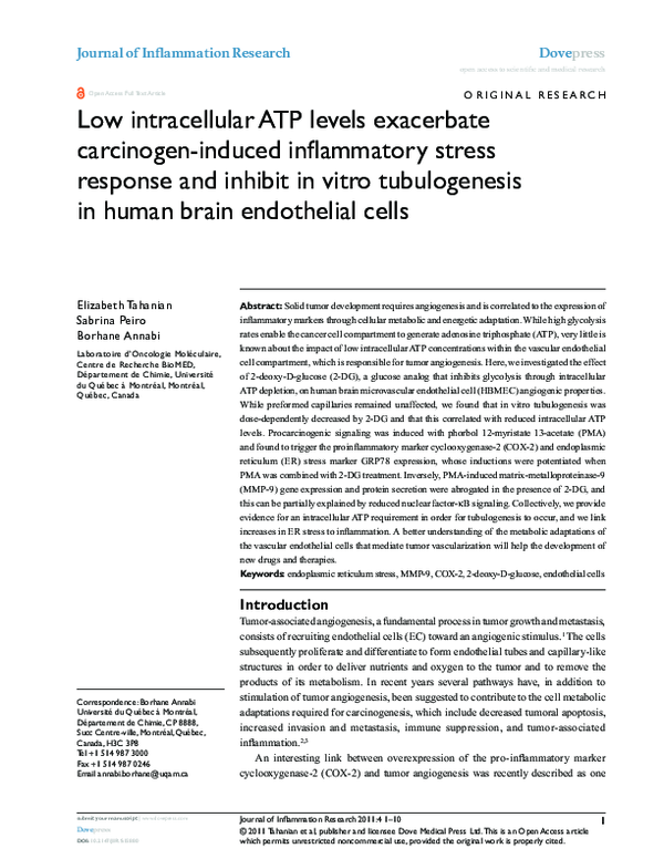 (PDF) Low intracellular ATP levels exacerbate carcinogen-induced ...