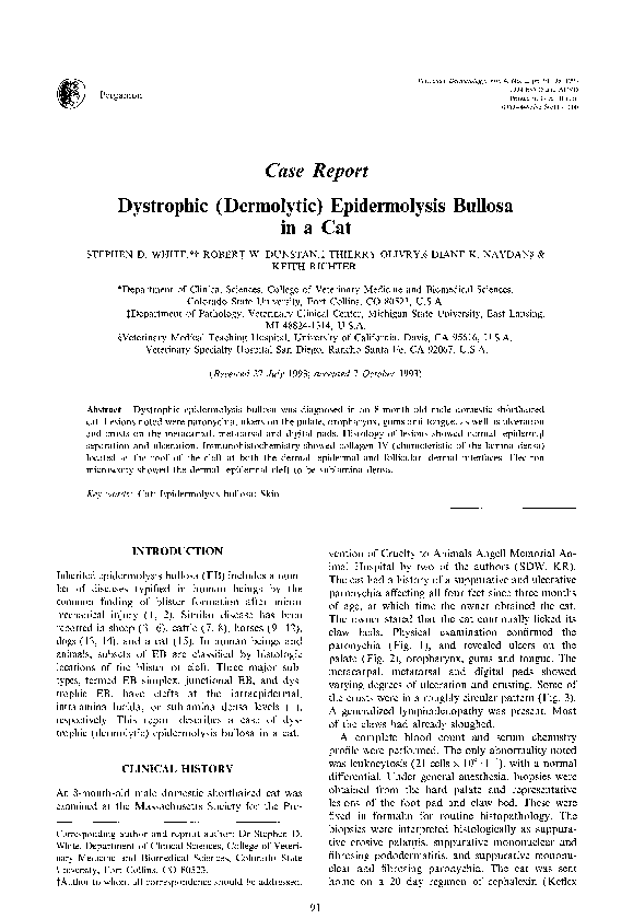 (PDF) Dystrophic (Dermolytic) Epidermolysis Bullosa in a Cat