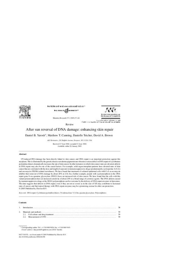 (PDF) After sun reversal of DNA damage: enhancing skin repair | Daniel ...