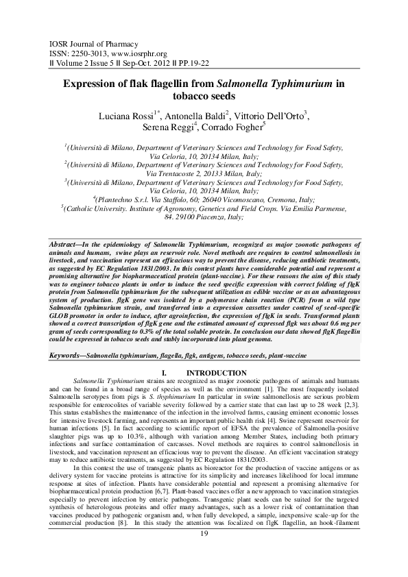 (PDF) Expression of flak flagellin from Salmonella Typhimurium in ...