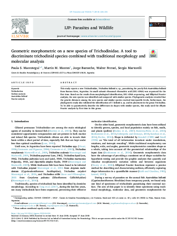 (PDF) Geometric morphometric on a new species of Trichodinidae. A tool ...