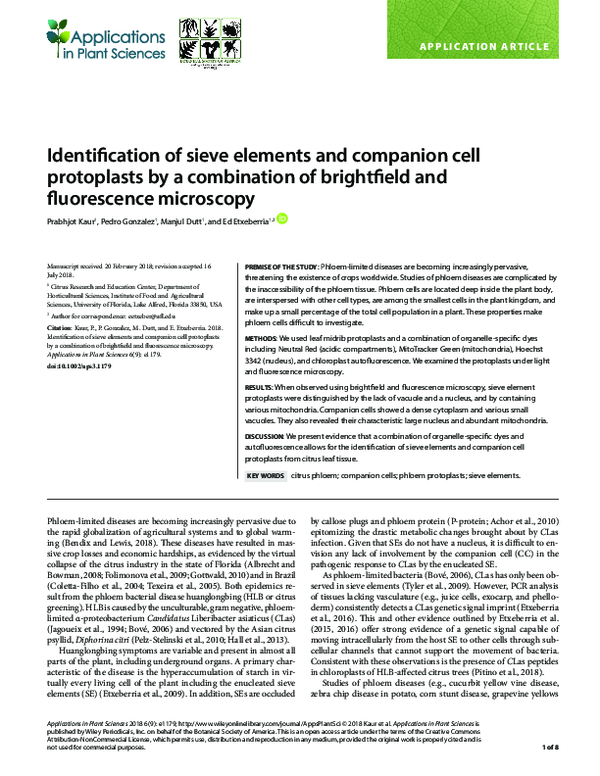 (PDF) Identification of sieve elements and companion cell protoplasts ...