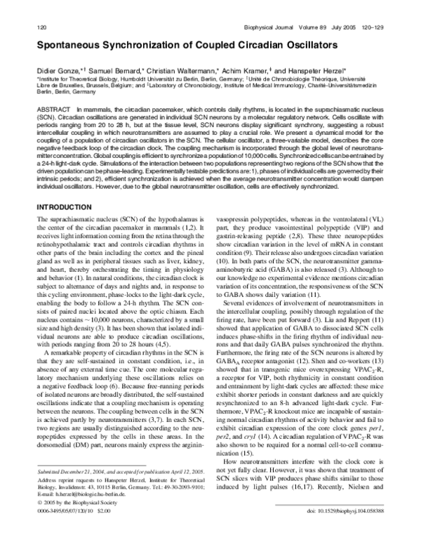(PDF) Spontaneous synchronization of coupled circadian oscillators