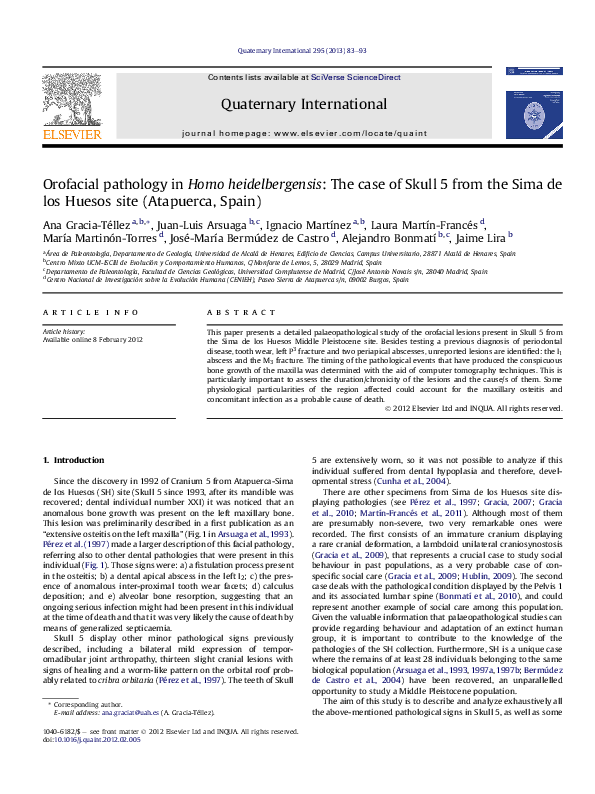 (PDF) Orofacial pathology in Homo heidelbergensis: The case of Skull 5 ...