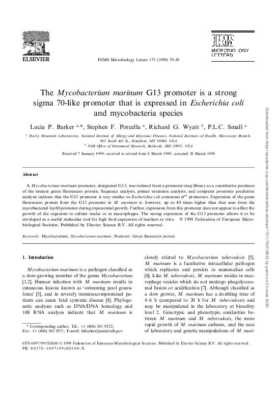 (PDF) The Mycobacterium marinum G13 promoter is a strong sigma 70-like ...