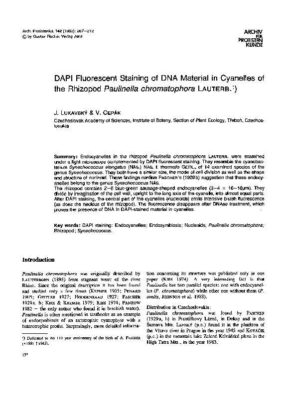 (PDF) DAPI Fluorescent Staining of DNA Material in Cyanelles of the Rhizopod Paulinella ...