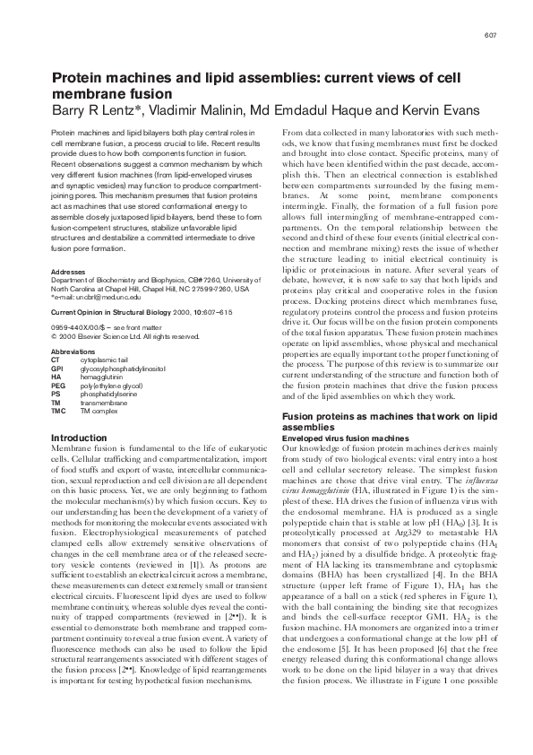(PDF) Protein machines and lipid assemblies: current views of cell ...