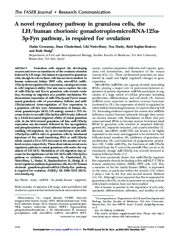 (PDF) A novel regulatory pathway in granulosa cells, the LH/human ...