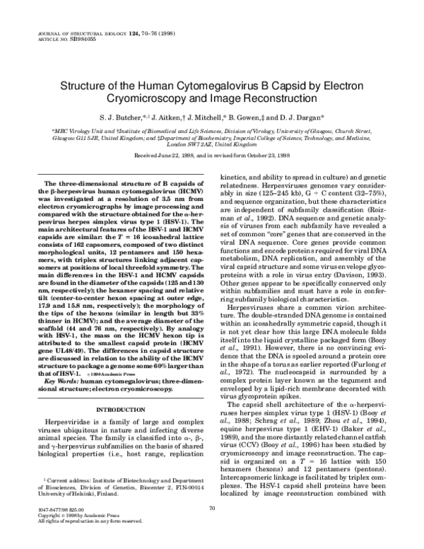 (PDF) Structure of the Human Cytomegalovirus B Capsid by Electron ...