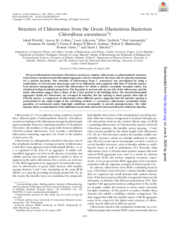 (PDF) Structure of Chlorosomes from the Green Filamentous Bacterium ...