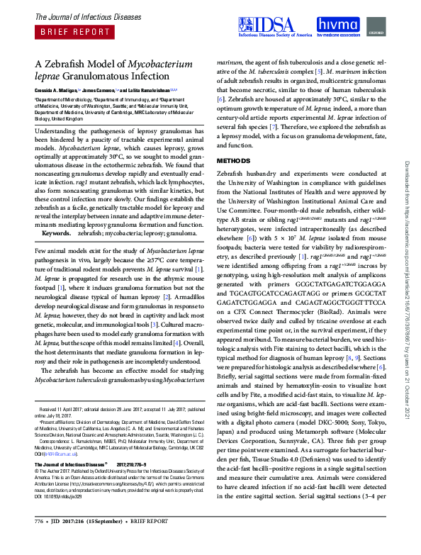 (PDF) A Zebrafish Model of Mycobacterium leprae Granulomatous Infection