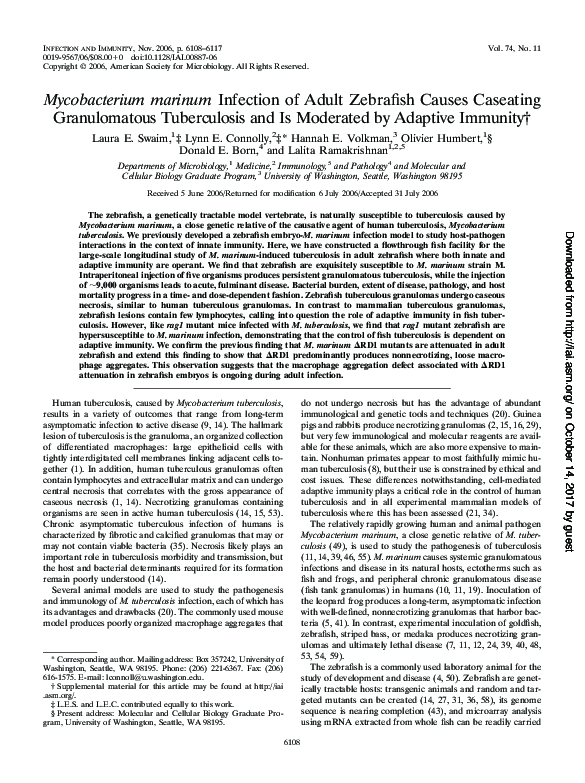 (PDF) Mycobacterium marinum Infection of Adult Zebrafish Causes ...