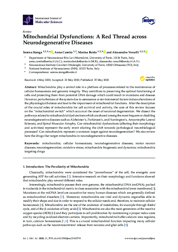 (PDF) Mitochondrial Dysfunctions: A Red Thread across Neurodegenerative Diseases