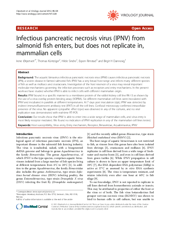 (PDF) Infectious pancreatic necrosis virus (IPNV) from salmonid fish ...