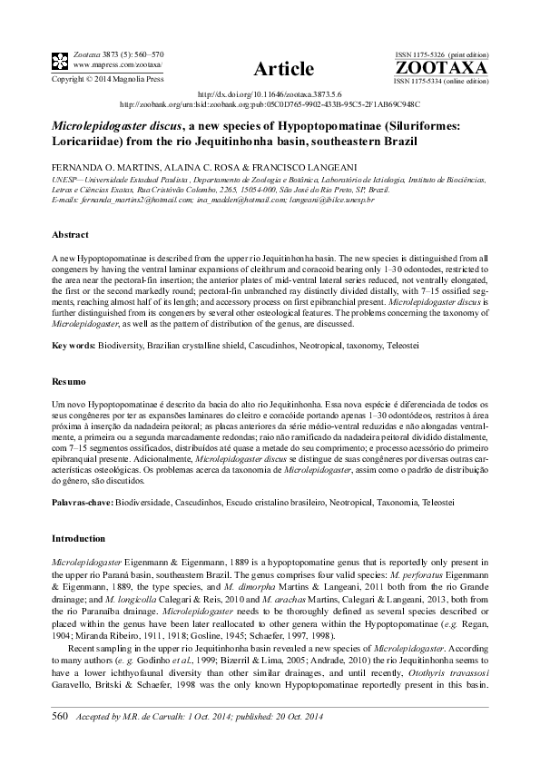 (PDF) Microlepidogaster discus, a new species of Hypoptopomatinae ...