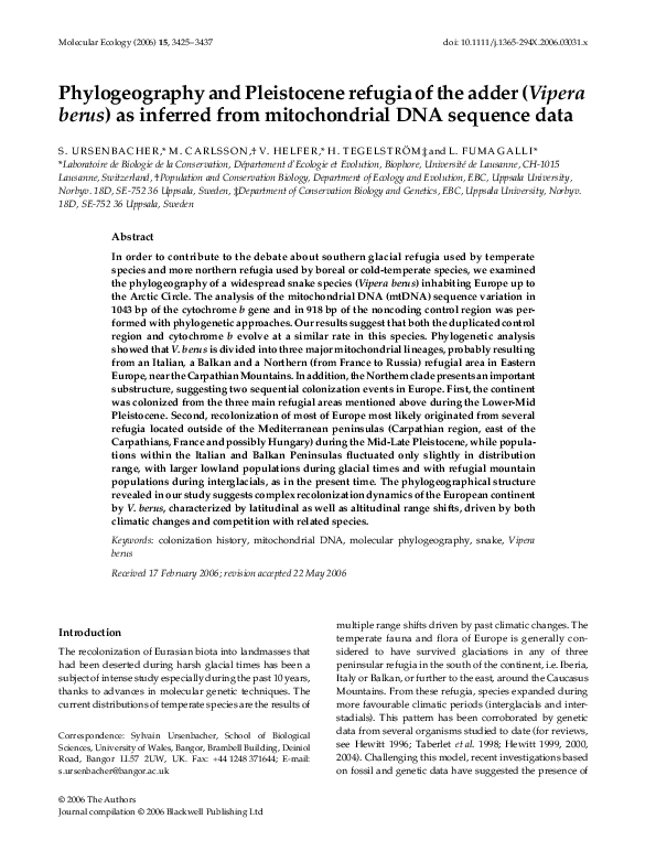 (PDF) Phylogeography and Pleistocene refugia of the adder (Vipera berus) as inferred from ...